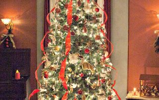 Multi-Day Tours - Trans-Bridge Tours